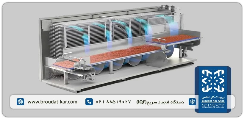 IQF (Individual Quick Freezing)