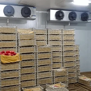 Above Zero cold storage | Design and construction